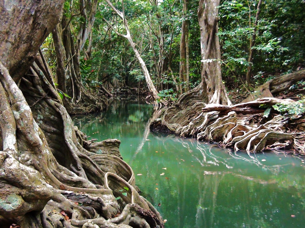 Indian River – DuFFilav ProJect